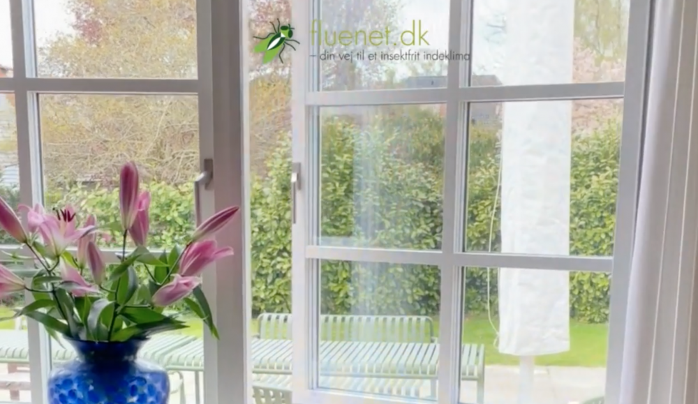 Er du træt af fluer og flyvende insekter - BEST OF Viborg